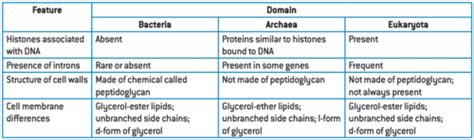5 3 Classification Groups Flashcards Quizlet