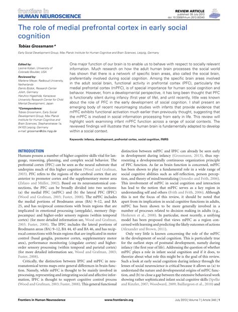 Pdf The Role Of Medial Prefrontal Cortex In Early Social Cognition