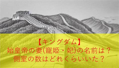 【キングダム】始皇帝の妻寵姫・妃の名前は？側室の数はどれくらいいた？ 世界一わかりやすい三国志