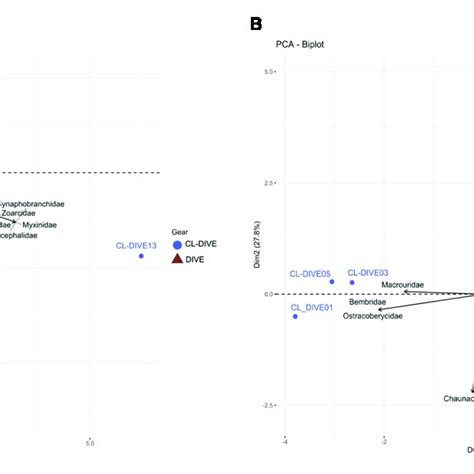 Comparison Of Fish Assemblages Between Imagery Dive And Sampling