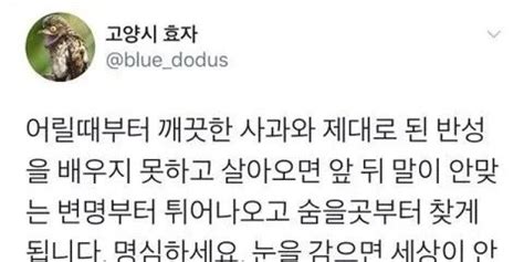 가정교육의 중요성 에펨코리아