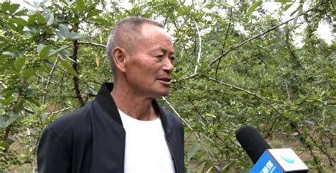 永善：椒香四溢 29万亩花椒丰收在望腾讯新闻