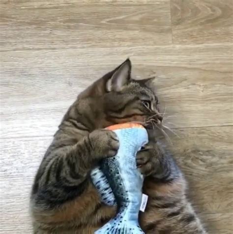 Post Reservoir Fiction Tumblr Com Tumbex