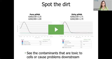 Virtual Seminar Get A Grip On Your Pdna Characterization With Lunatic