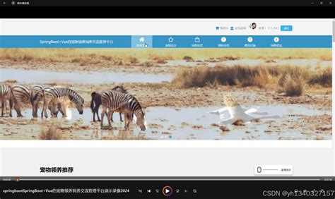 宠物领养饲养交流管理平台母狗园 Csdn博客