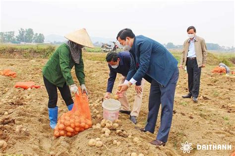 Giải pháp nông nghiệp thông minh giúp giải cứu ngành Nông nghiệp Việt
