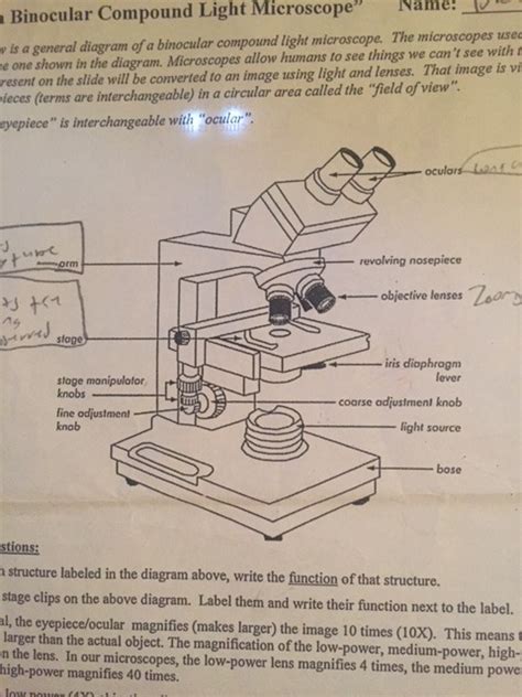 Biology Exam Diagram Quizlet