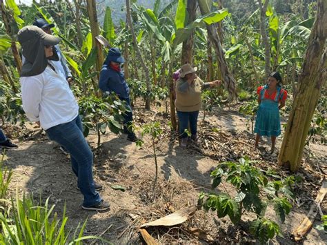 Enseñan Prácticas De Conservación De Suelos En El Corredor Seco