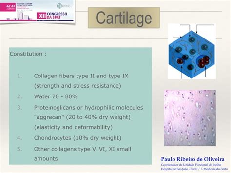 Cartilage Lesion How I Do It Ppt