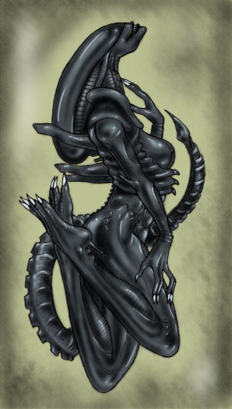 Rule 34 Alien Female Female Xenomorph Leftright Tagme Xenomorph 1094199