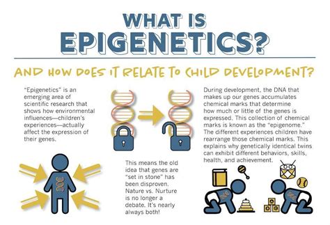 Beyond Nature Or Nurture With Epigenetics Epigenetics Nature Vs