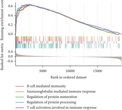 Module Pathway Regulatory Network Of Foxo1 In Single Disease And Gene