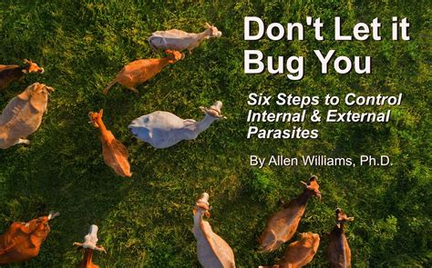 Dont Let It Bug You Six Steps To Control Internal And External Parasites