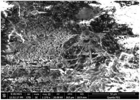 White Carrara Marble Microstructure With Scanning Electron Microscopy Download Scientific