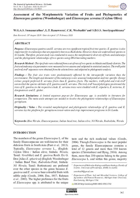 Pdf Assessment Of The Morphometric Variation Of Fruits And Phylogenetics Of Elaeocarpus
