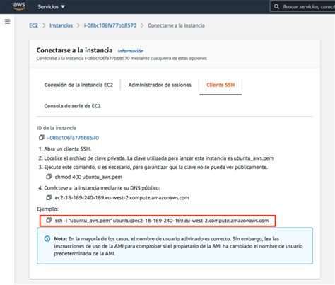 Crear Una Instancia Ec2 Desde La Consola De Aws Linux