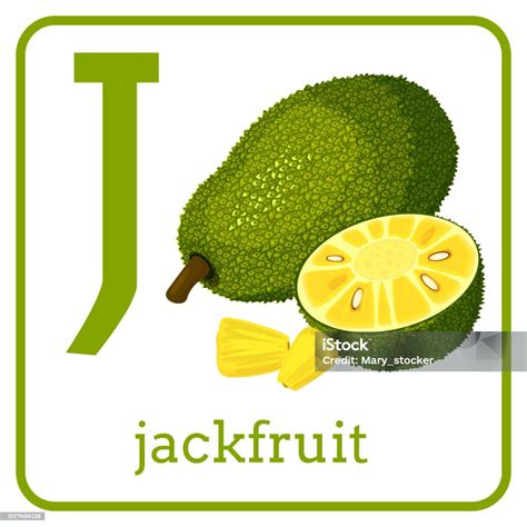 귀여운 과일 편지 J Jackfruit와 알파벳 빵나무 열매에 대한 스톡 벡터 아트 및 기타 이미지 빵나무 열매 개체 그룹 건강한 생활방식 Istock