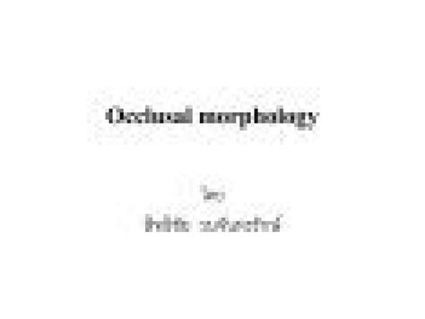 Occlusal Morphology Functional Cusp