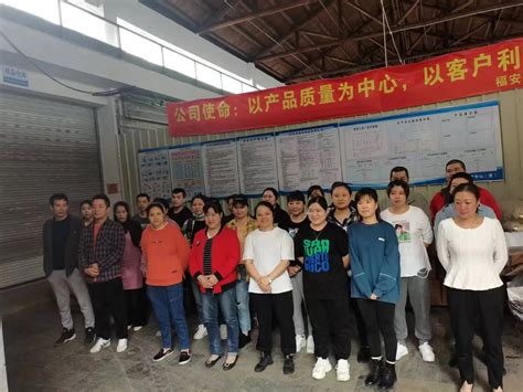 High Load Linear Actuator 400mm 220v Linear Actuator 6000n Electric Bed Linear Actuator 1000mm