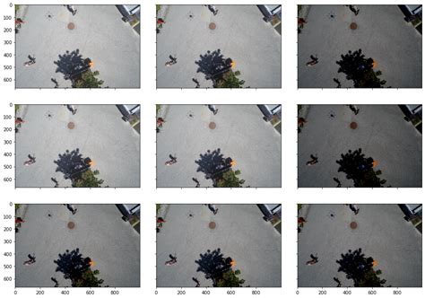 Data Augmentation With Albumentations Julius Data Science Blog