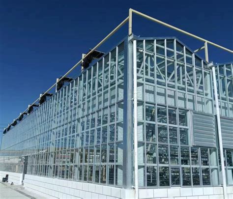 青州市聚兴温室工程有限公司 玻璃温室草莓大棚连栋薄膜温室日光温室生态餐厅