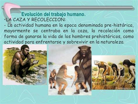 Evolucion Del Trabajo Y Las Profesiones Insercion Laboral