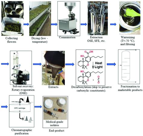 Process Flow Diagram Showing The Downstream Processing Steps Needed To Download Scientific