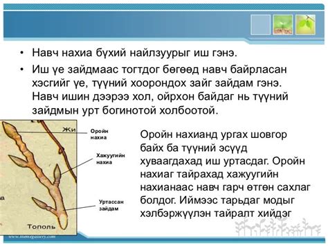 Эрдэнэмандал ахлах сургууль хими биологийн багш Б Оюун