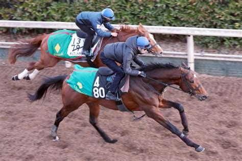 【若駒s】武豊騎乗のサンライズジパングが坂路自己ベストの50秒8 音無調教師「馬なりなのに。具合はいいと思う」 競馬ニュース Netkeiba