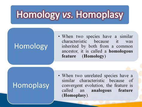Cladistic Analysis Phylogenetics Ppt