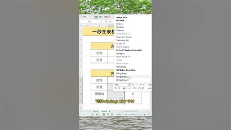 表格内打勾打叉办公技巧 每天学习一点点 Excel 职场 文员 办公技巧 Excel技巧 Youtube