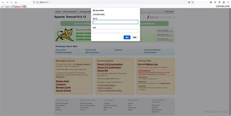 Tomcat【环境搭建 02】web端403 Access Denied You Are Not Authorized To View