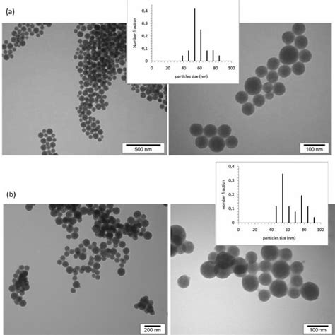 Pdf One Pot Synthesis Of Hybrid Multifunctional Silica Nanoparticles With Tunable Coating By