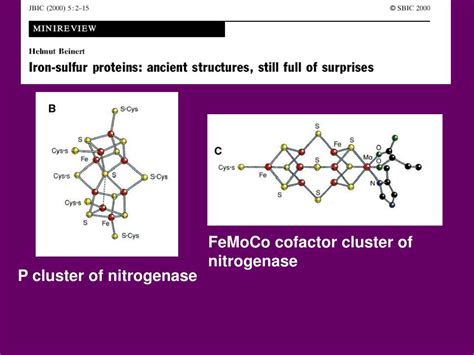 Ppt Lecture 9 Powerpoint Presentation Free Download Id3726302