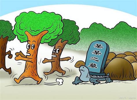 农村土葬或将禁止？ 知乎