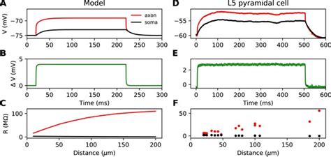 Theoretical Relation Between Axon Initial Segment Geometry And