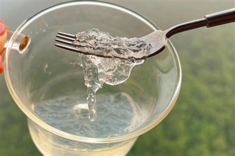 Edible Birds Nest Benefits At Kaitlyn Fitzhardinge Blog