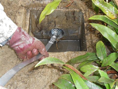 雨水配管 根詰まり除去 トータルサービス奈良 住まい・お庭・暮らし トータルメンテナンス