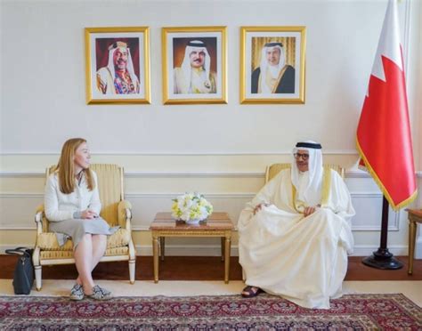 وزير الخارجية يستقبل وفدًا من مجلسي النواب والشيوخ الأمريكي صحيفة الوطن