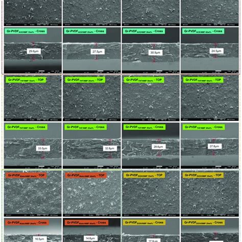 Sem Of Cross Section And The Top Surface Of The Composite Film Gr Pvdf Download Scientific