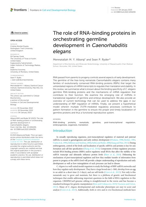 Pdf The Role Of Rna Binding Proteins In Orchestrating Germline Development In Caenorhabditis