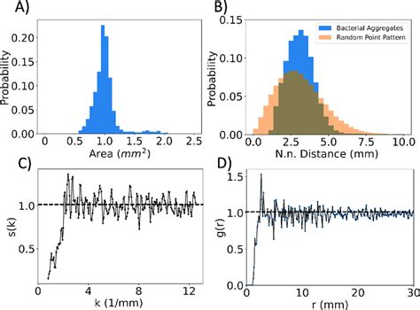 Spatial Structure Of Aggregate Formation A D Spatial Analysis Of The Download Scientific