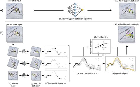 Schematic Representation Of Our Method B Compared To Standard
