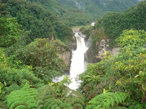 Pin On KUDZU They Said For Land Erosion