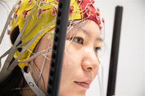 Brains Visual System Adapts To Ignore Frequent Distractions Study