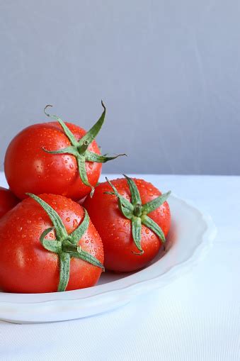 화이트 도자기 접시에 신선한 젖은 빨간 토마토 흰색 배경 사이드 조명 0명에 대한 스톡 사진 및 기타 이미지 0명 건강한 생활방식 건강한 식생활 Istock