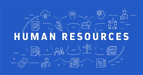 인적 자원 벡터 배너 디자인 개념입니다 웹 사이트 프리젠 테이션 등에 대한 개요 선 아이콘 벡터 일러스트 템플릿 0명에 대한 스톡 벡터 아트 및 기타 이미지 Istock
