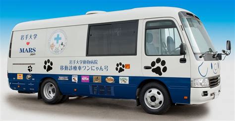 能登半島地震から3カ月 石川県獣医師会はシェルター設けペット預かりを継続 犬や猫ともっと幸せにをコンセプトにしたWEBメディアsippo