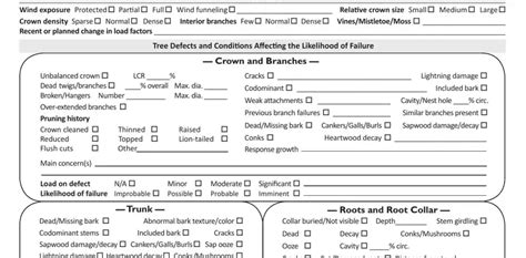 Tree Risk Assessment Form Fill Out Printable PDF Forms Online