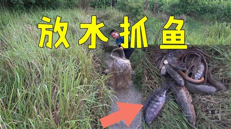 农村小伙干农活发现水沟有大动静把水舀干后吓一跳泥水沟里徒手抓泥鳅全是值钱土货民间小邓 YouTube